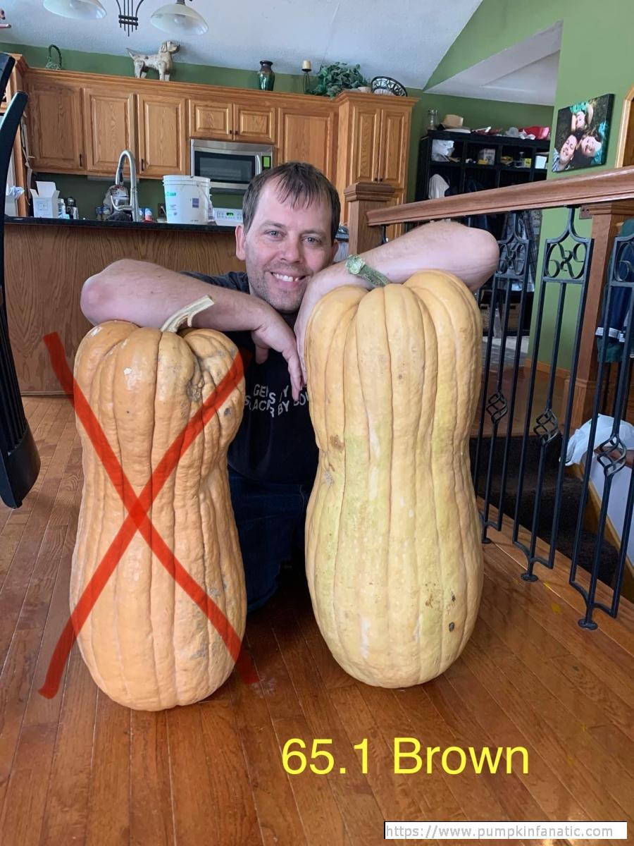 Giant butternut Statistics and Grower Resource