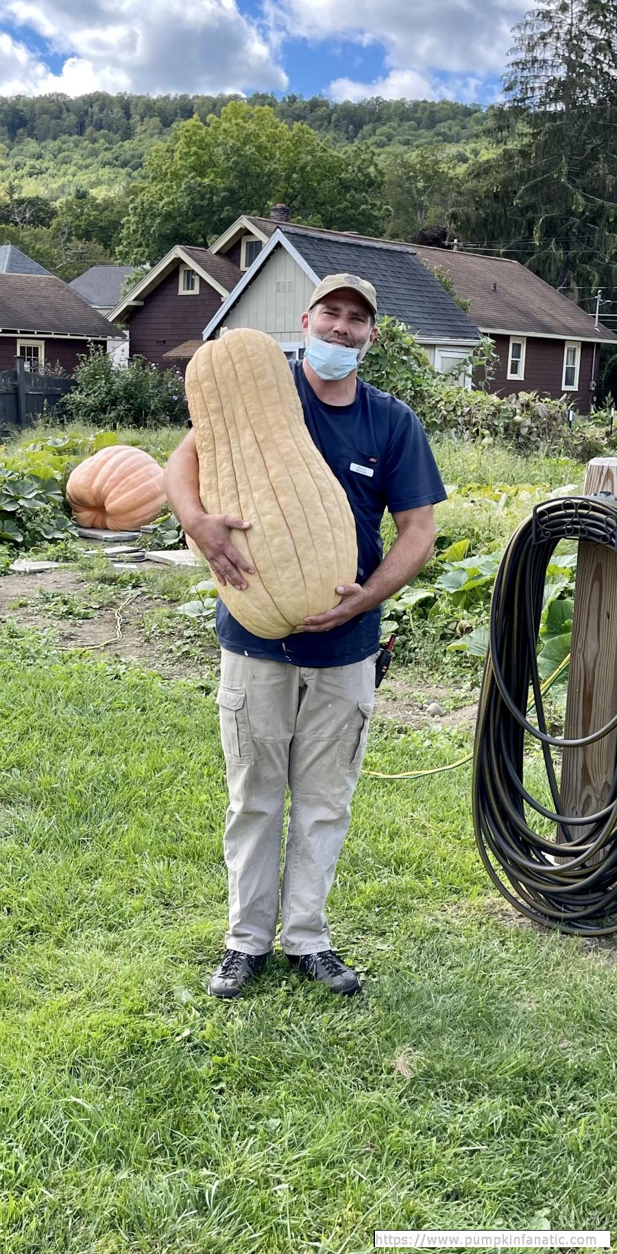 Giant butternut Statistics and Grower Resource